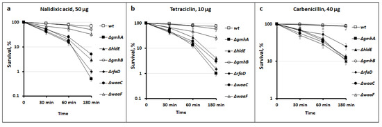 The Inactivation of LPS Biosynthesis Genes in E. coli Cells Leads to ...