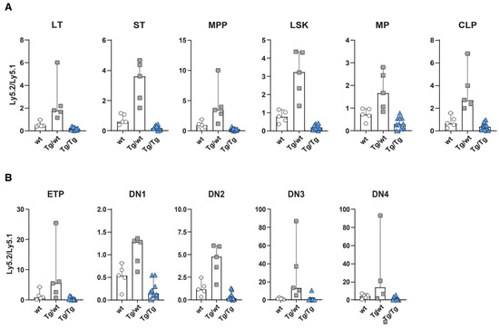 Axin2/Conductin Is Required for Normal Haematopoiesis and T Lymphopoiesis