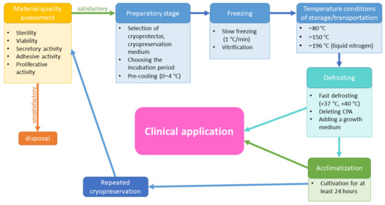 Cryostorage of Mesenchymal Stem Cells and Biomedical Cell-Based Products