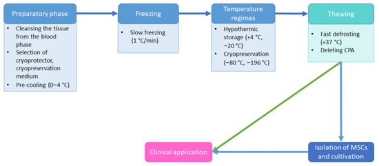 Cryostorage of Mesenchymal Stem Cells and Biomedical Cell-Based Products