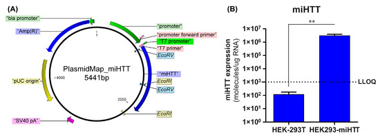Functional Intercellular Transmission of miHTT via Extracellular ...