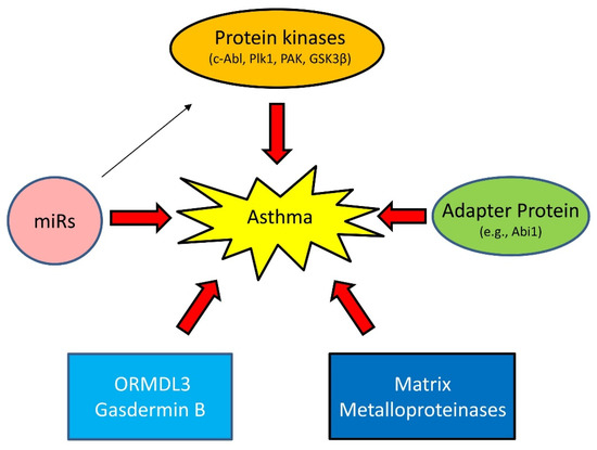 Current Understanding of Asthma Pathogenesis and Biomarkers