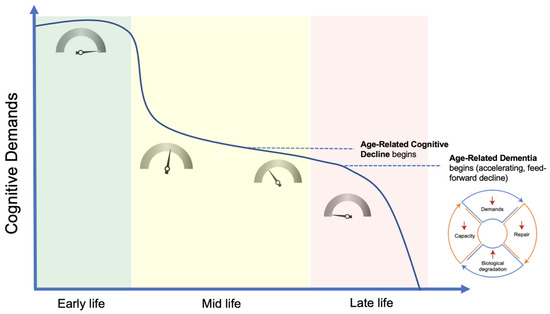 Demand Coupling Drives Neurodegeneration: A Model of Age-Related ...