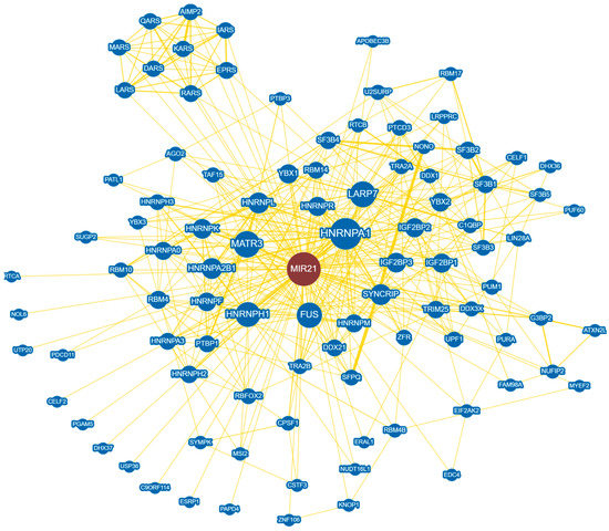 Cells | Free Full-Text | From Molecular Mechanisms to Therapeutics: Understanding MicroRNA-21 in ...