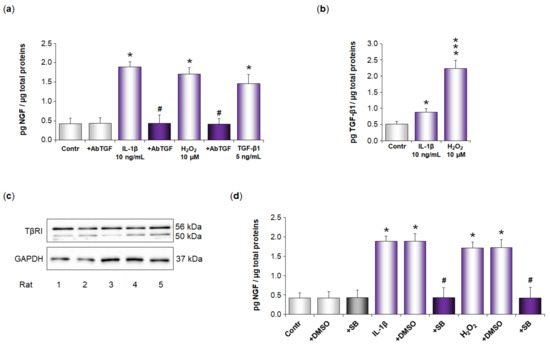 Inflammation and Oxidative Stress Induce NGF Secretion by Pulmonary ...