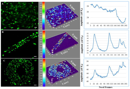 Micropatterned Neurovascular Interface to Mimic the Blood–Brain Barrier ...