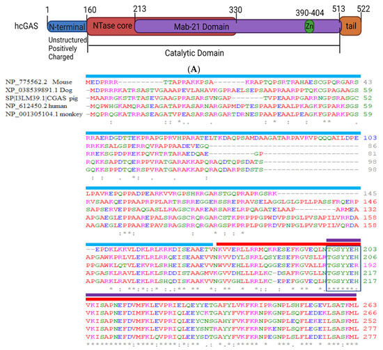 Regulation of cGAS Activity and Downstream Signaling