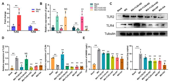 Extracellular HMGB1 as Inflammatory Mediator in the Progression of ...