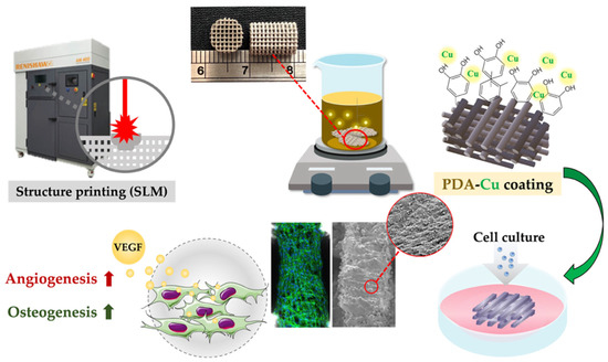 Combined Effects of Polydopamine-Assisted Copper Immobilization on 3D ...