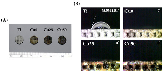 Combined Effects of Polydopamine-Assisted Copper Immobilization on 3D ...