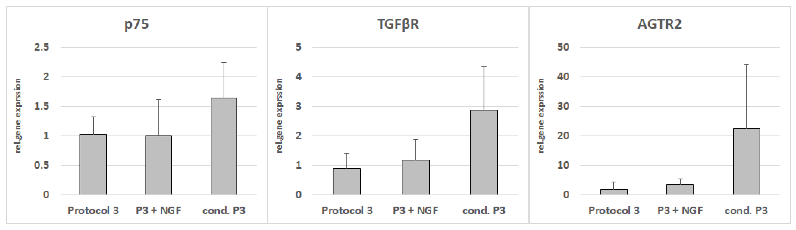 Peripheral Nerve Regeneration–Adipose-Tissue-Derived Stem Cells ...