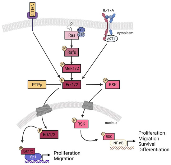 Cells | Free Full-Text | Gene Profiling of a 3D Psoriatic Skin Model ...