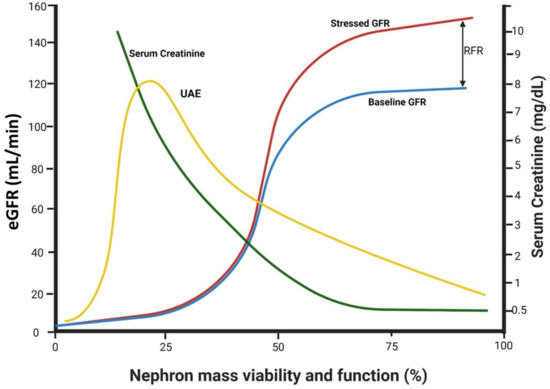 Diabetic Proteinuria Revisited: Updated Physiologic Perspectives