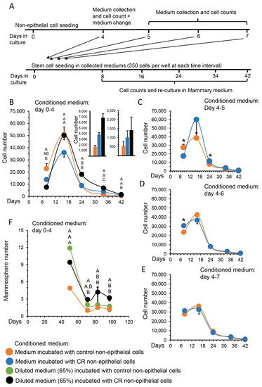 Cells | Free Full-Text | Macrophage-Secreted CSF1 Transmits a Calorie ...