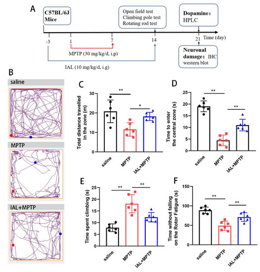 Isoalantolactone (IAL) Regulates Neuro-Inflammation and Neuronal ...