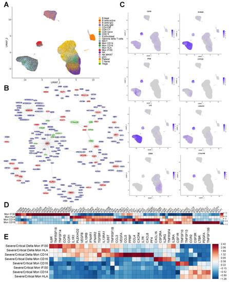 Single-Cell Gene Expression Analysis Revealed Immune Cell Signatures of ...