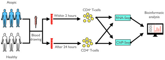 Timing of Blood Sample Processing Affects the Transcriptomic and ...