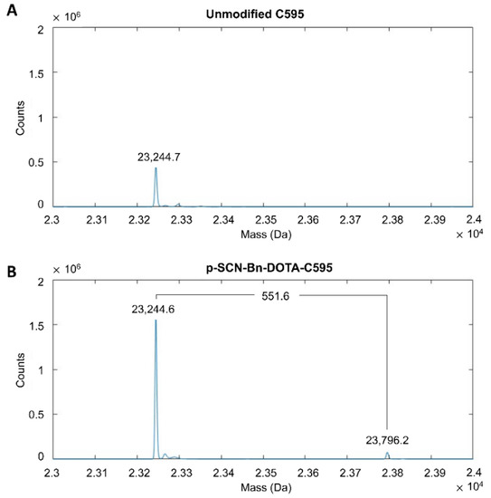 Preliminary Development and Testing of C595 Radioimmunoconjugates for ...