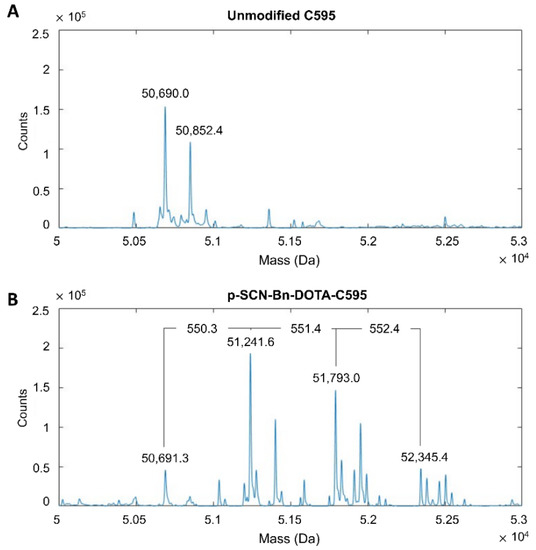 Preliminary Development and Testing of C595 Radioimmunoconjugates for ...