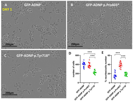 Distinct Impairments Characterizing Different ADNP Mutants Reveal ...