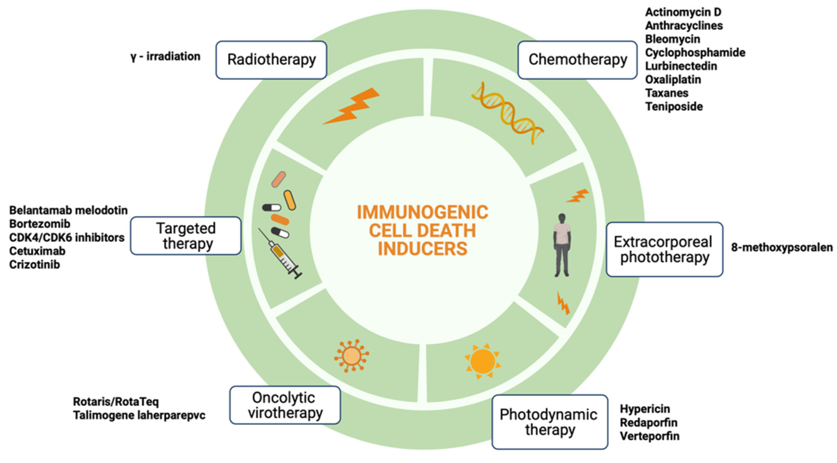 Cells | Free Full-Text | Immunogenic Cell Death: An Emerging Target in ... Cells | Free Full-Text | Immunogenic Cell Death: An Emerging Target in ...