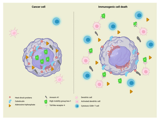 Immunogenic Cell Death: An Emerging Target in Gastrointestinal Cancers