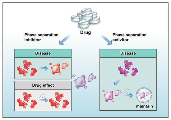 Liquid–Liquid Phase Separation in Cardiovascular Diseases