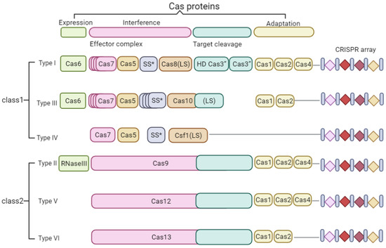 Recent Progress and Future Prospect of CRISPR/Cas-Derived Transcription ...