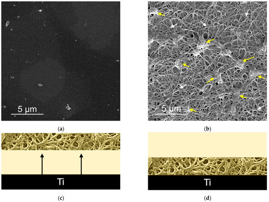 Provisional Matrix Formation at Implant Surfaces—The Bridging Role of ...