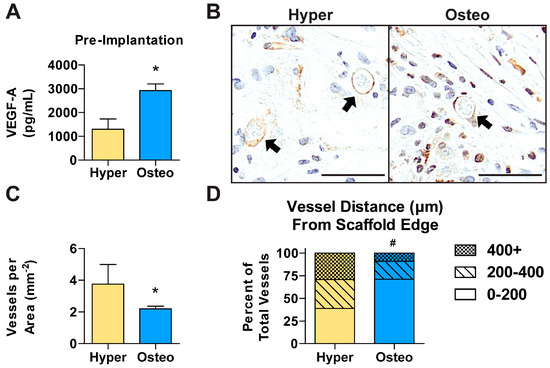 Effects of Endochondral and Intramembranous Ossification Pathways on ...
