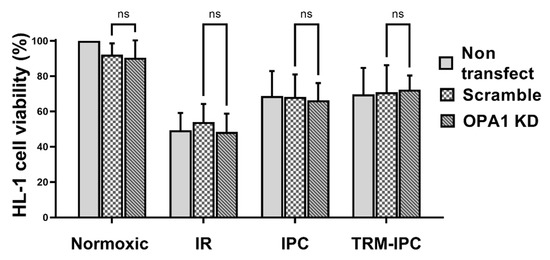 Cells | Free Full-Text | Does Disruption of Optic Atrophy-1 (OPA1 ...