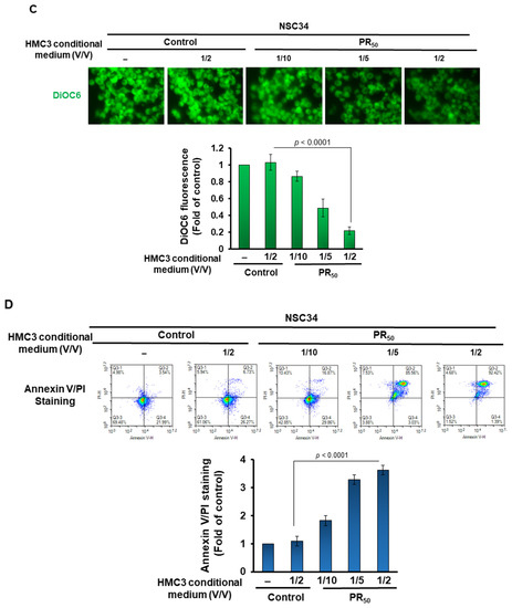 C9-ALS-Associated Proline-Arginine Dipeptide Repeat Protein Induces ...