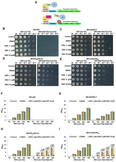 C9-ALS-Associated Proline-Arginine Dipeptide Repeat Protein Induces ...