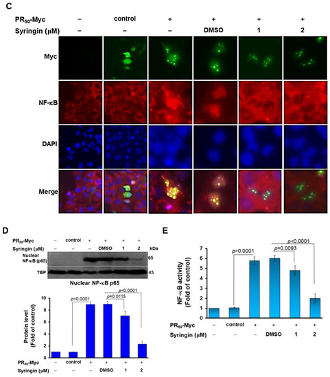 C9-ALS-Associated Proline-Arginine Dipeptide Repeat Protein Induces ...