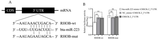 Cells | Free Full-Text | Bta-miR-223 Targeting the RHOB Gene in Dairy ...