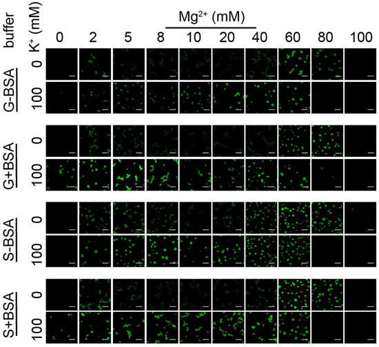 Chromatin Liquid–Liquid Phase Separation (LLPS) Is Regulated by Ionic ...