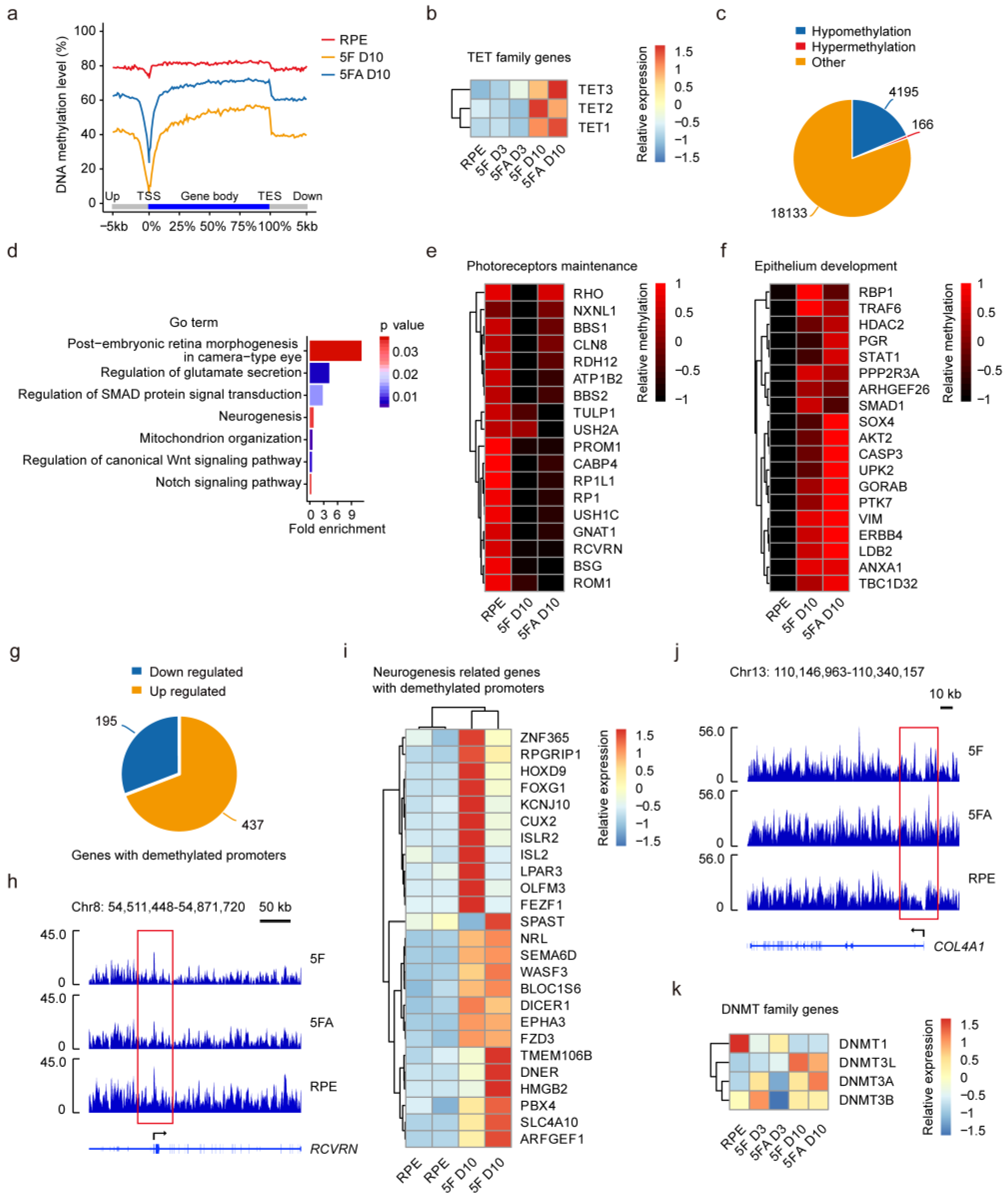 Global Transcriptional and Epigenetic Reconfiguration during Chemical ...