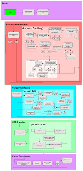Cells | Free Full-Text | Investigating Two Modes of Cancer-Associated ...