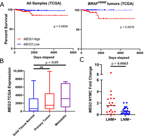 MEG3 Expression Indicates Lymph Node Metastasis and Presence of Cancer ...