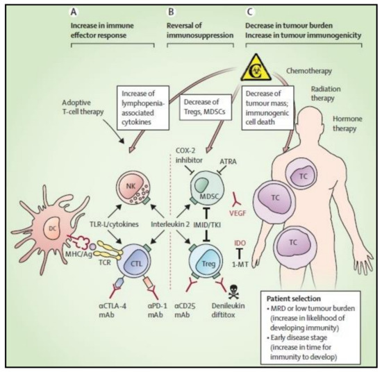 Tumor-Infiltrating Dendritic Cells: Decisive Roles in Cancer ...