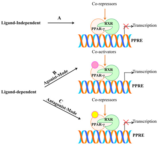 PPAR-γ Partial Agonists in Disease-Fate Decision with Special Reference ...