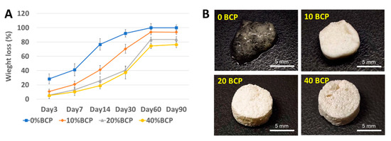 Novel Epigenetic Modulation Chitosan-Based Scaffold as a Promising Bone Regenerative Material