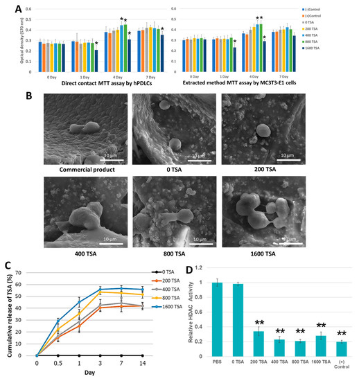 Novel Epigenetic Modulation Chitosan-Based Scaffold as a Promising Bone Regenerative Material