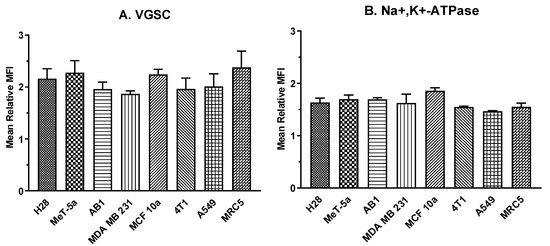 Effect of Cell Cycle on Cell Surface Expression of Voltage-Gated Sodium ...