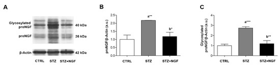 NGF Prevents Loss of TrkA/VEGFR2 Cells, and VEGF Isoform Dysregulation ...