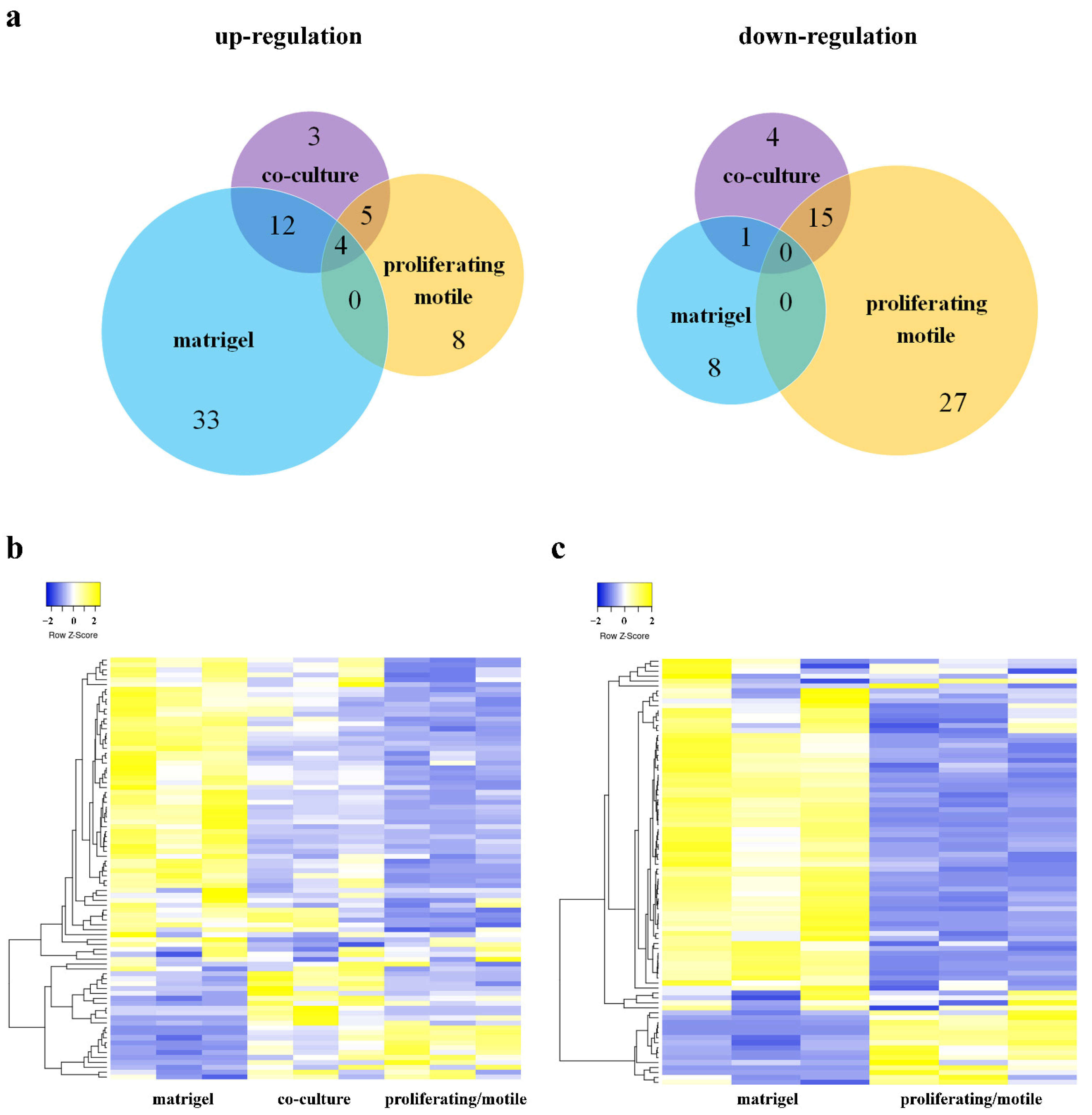 New Insight on 2D In Vitro Angiogenesis Models: All That Stretches Is ...
