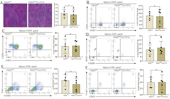 Synovial Macrophages Expression of OX40L Is Required for Follicular ...