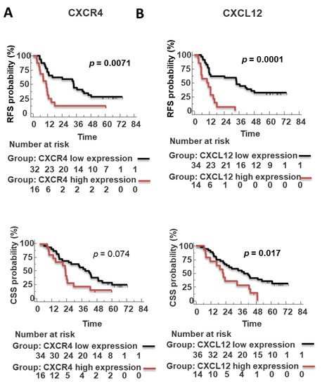 CXCR4-CXCL12-CXCR7 and PD-1/PD-L1 in Pancreatic Cancer: CXCL12 Predicts Survival of Radically ...