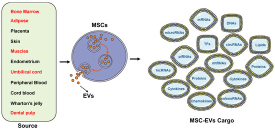 Mesenchymal Stem Cell-Derived Extracellular Vesicles for Therapeutic Use and in Bioengineering ...