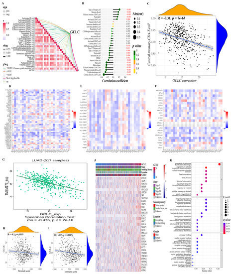 Ferroptosis-Related Gene GCLC Is a Novel Prognostic Molecular and ...